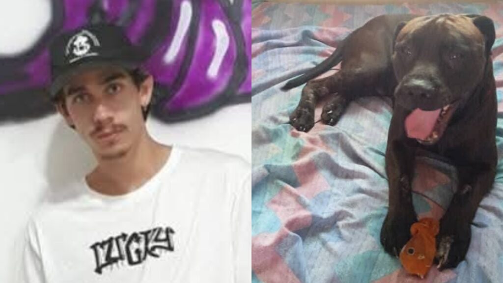 Desaparece el joven actor cubano Edgar Alejandro Valle Remis en Nuevo ...